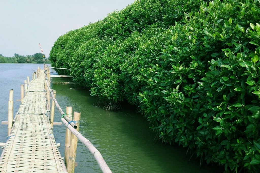 Pantai Baros | Lokasi, Akses dan Harga Tiket Masuk | WidyaLoka Wisata