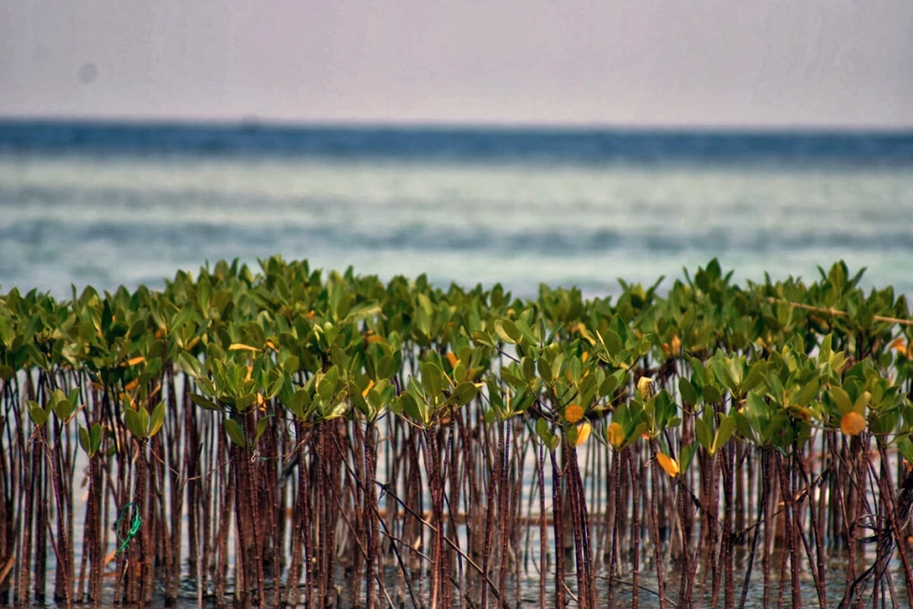 Pantai Baros | Lokasi, Akses dan Harga Tiket Masuk | WidyaLoka Wisata
