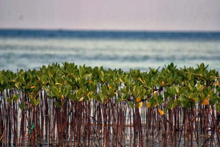 Pantai Baros | Lokasi, Akses dan Harga Tiket Masuk | WidyaLoka Wisata